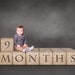 Baby's First Year Layered Digital Backdrops, 3 6 9 12 Months, Month ...