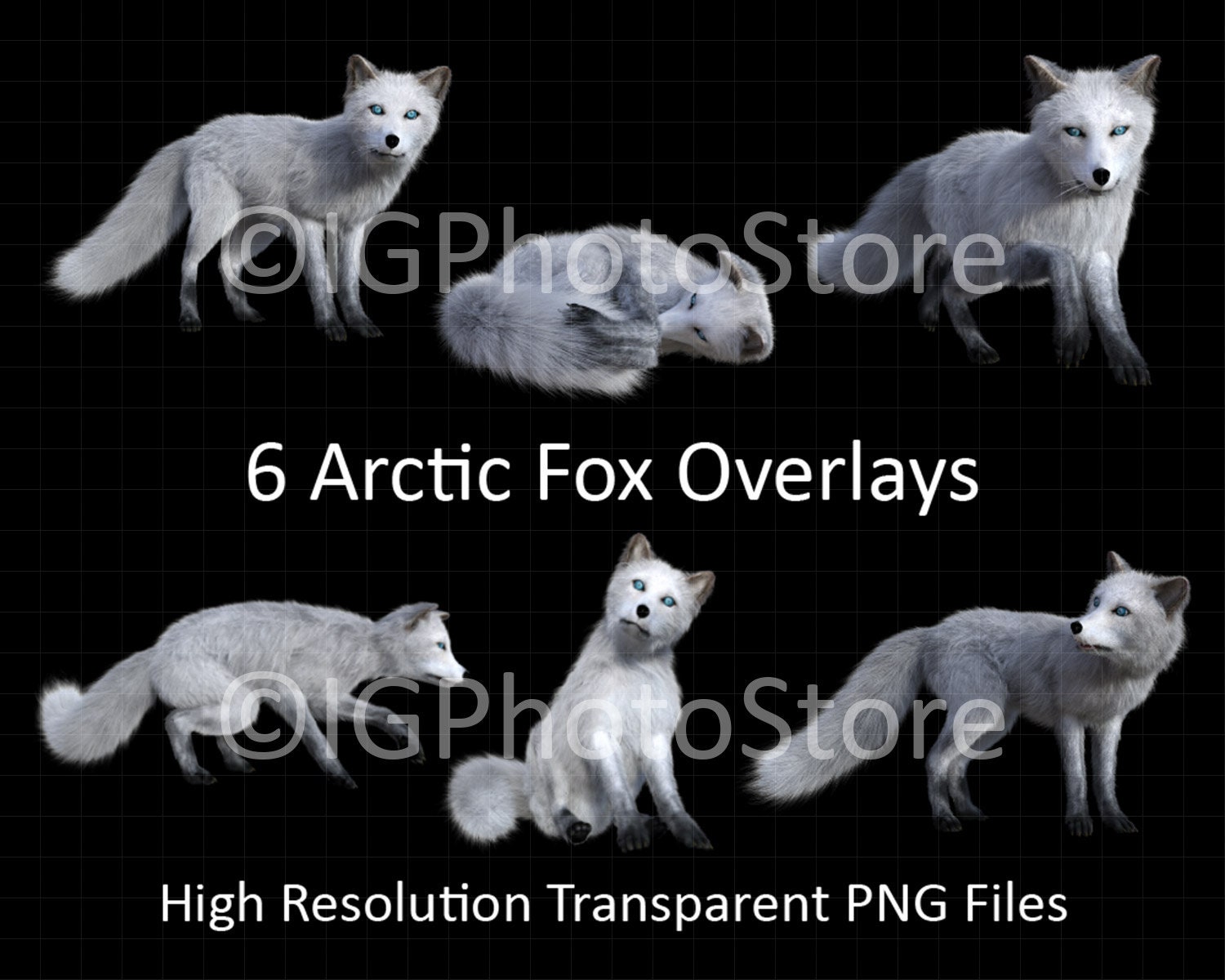 Fox Overlays Arctic Fox PNG Animal Overlays Fox Clipart - Etsy