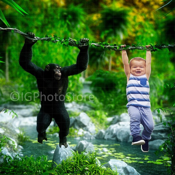 Monkey Swing - Etsy