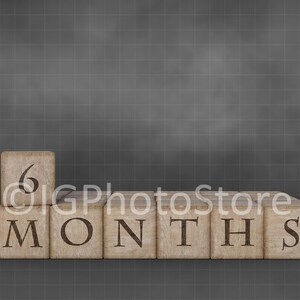 6 Months Digital Backdrop 6 Month Old Baby Milestone | Etsy