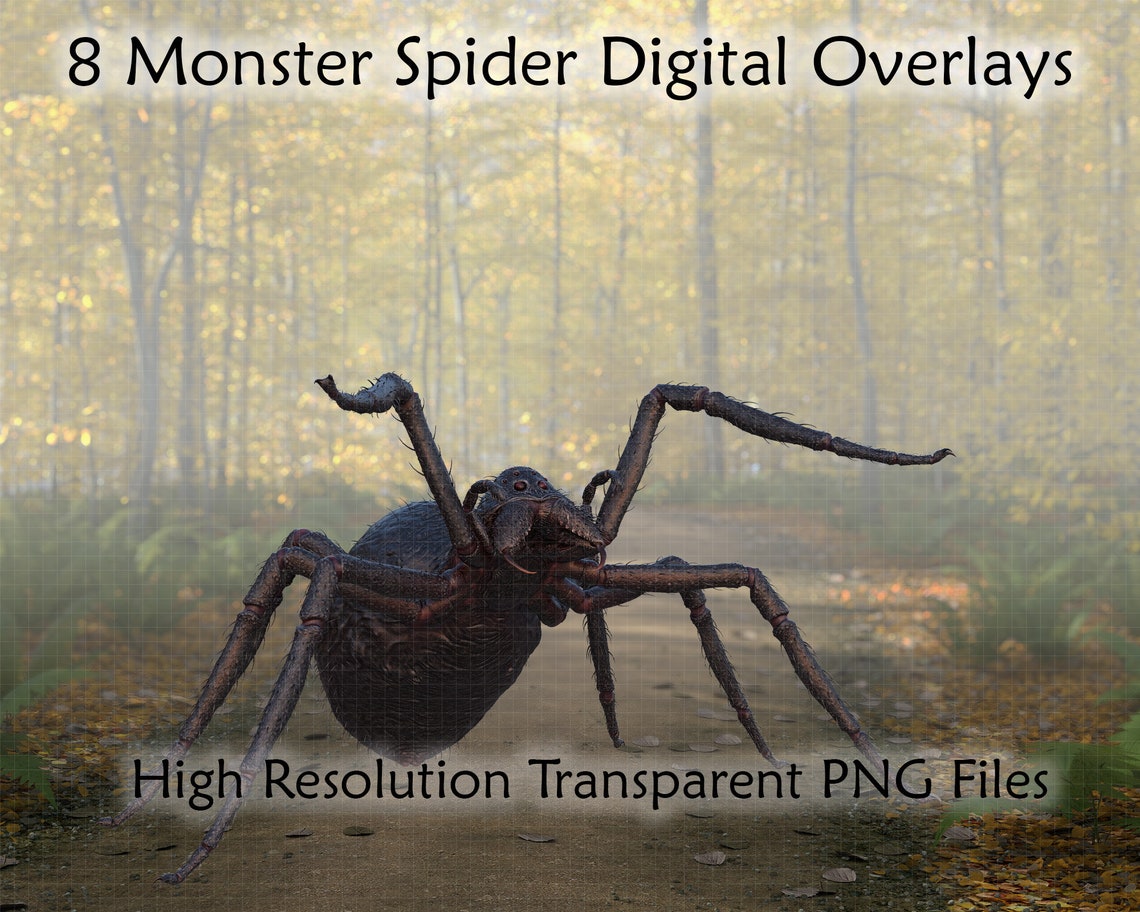 Fantasy Monster Spider Digital Overlays Transparent PNG Giant - Etsy