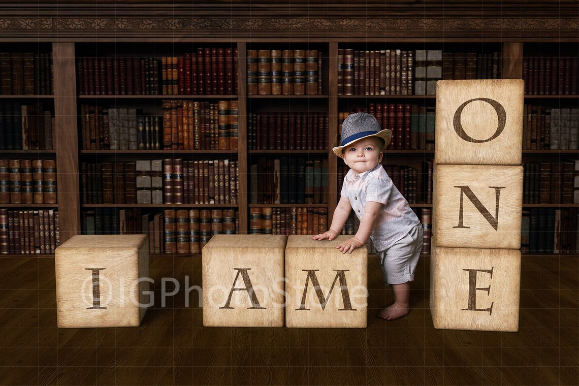 First Birthday Layered Digital Backdrop Set, One Year Old Portrait ...