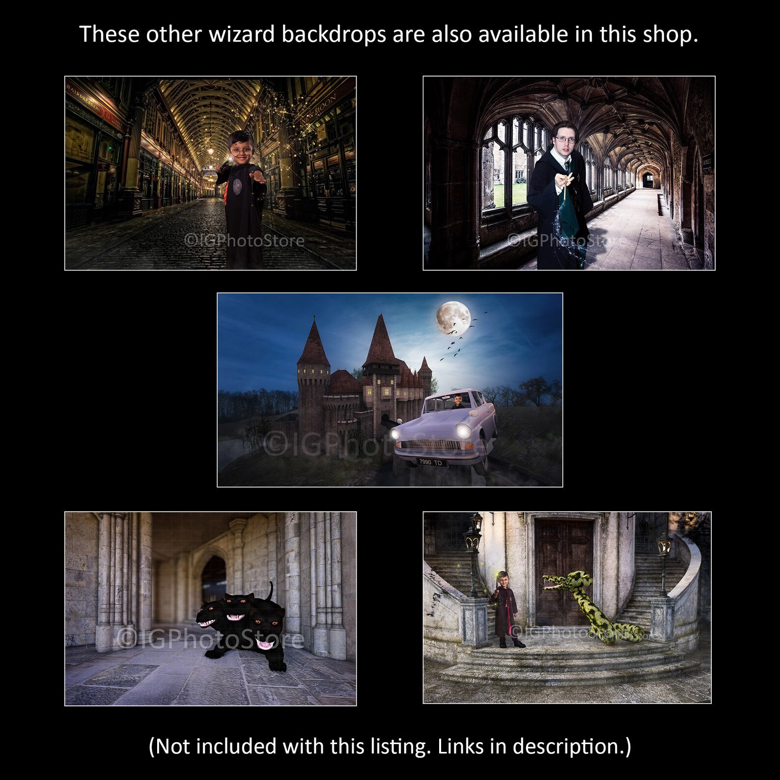 Wizard Office Digital Backdrop Wizard Desk with Phoenix and | Etsy