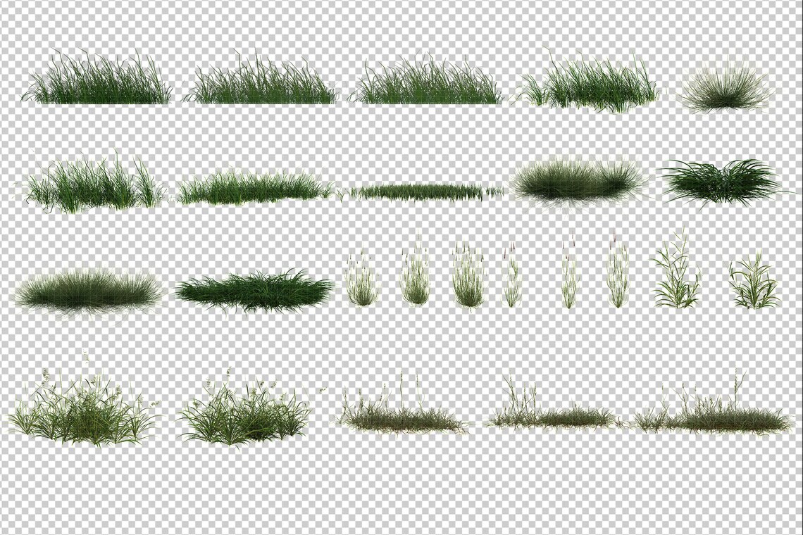 Grass Overlays Transparent PNG Digital Grass for Composite - Etsy