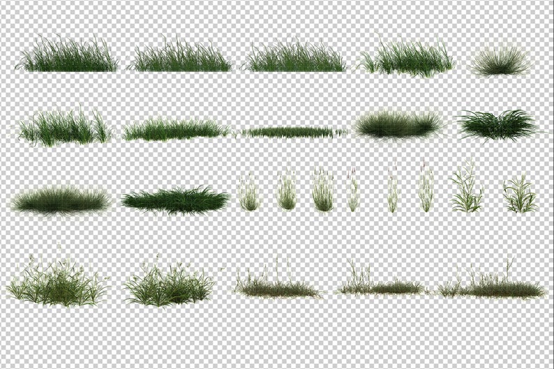 Grass Photo Overlays, Transparent PNG, Digital Art (3000x2000 Pixels ...