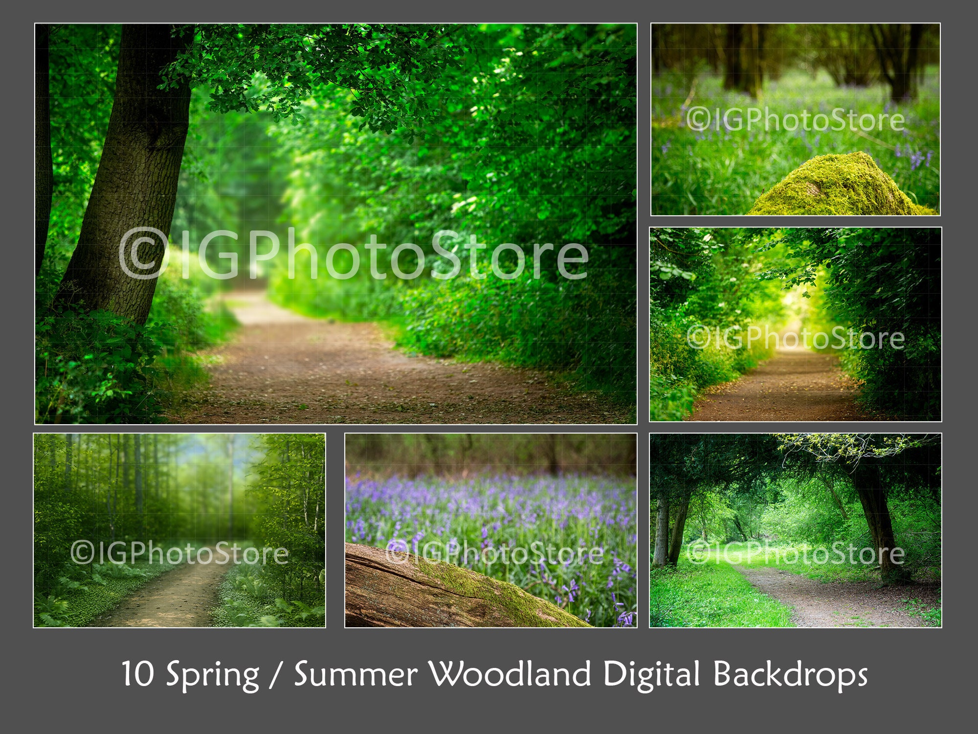 12 Forest Path Bundle - Digital Background - Woodland Trail Pack ...