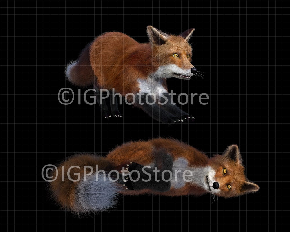 Fox Overlays 6 PNG Digital Foxes Photoshop Overlays Red Fox - Etsy