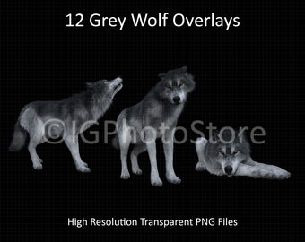 Wolf Overlays Scrapbooking - Etsy
