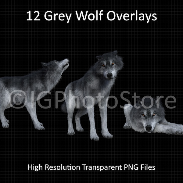 Animal Overlays - Etsy