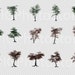 15 Japanese Maple Tree Digital Overlays, Transparent PNG Maples, Tree ...