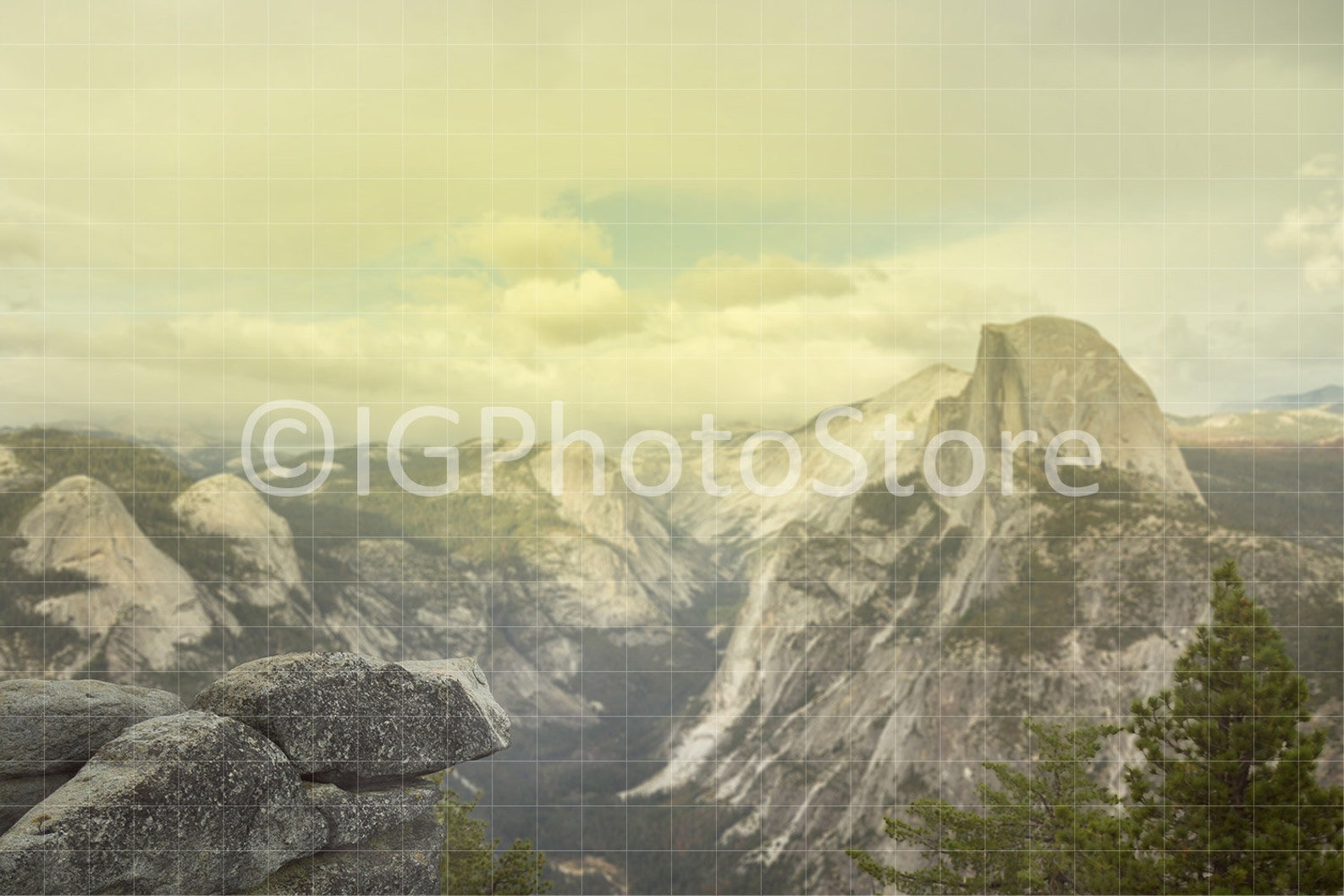 T-Rex Digital Backdrop Tyrannosaurus Rex Dinosaur Digital | Etsy