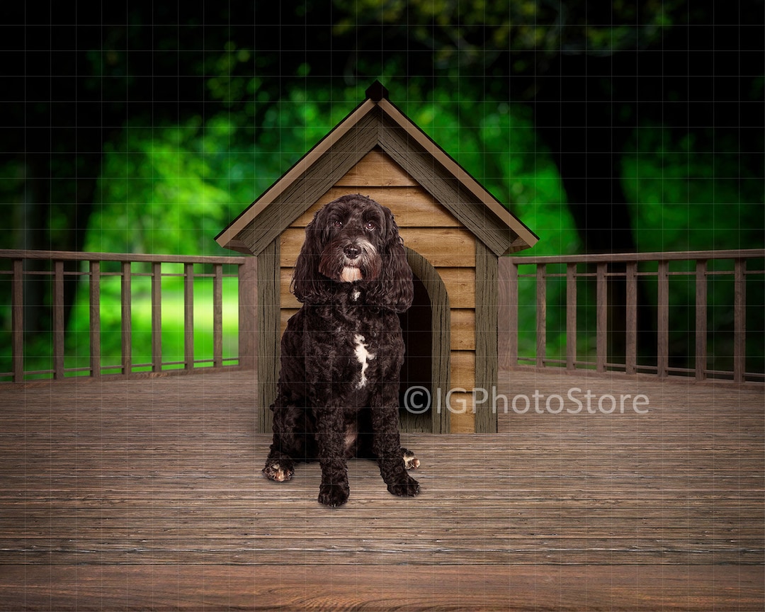 Dog House Digital Backdrop, Dogs Kennel Digital Background, Pet ...
