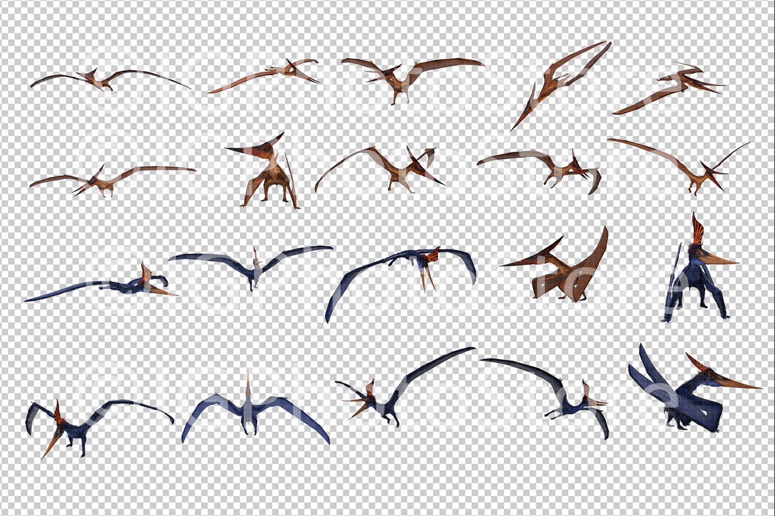 Pteranodon Dinosaur Digital Overlays Transparent PNG Flying - Etsy