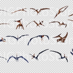 Pteranodon Dinosaur Digital Overlays, Transparent PNG Flying Dinosaurs ...