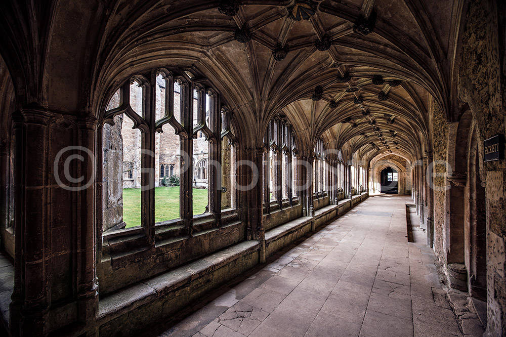 Cosplay Backdrop Digital Backdrop Digital Background - Etsy