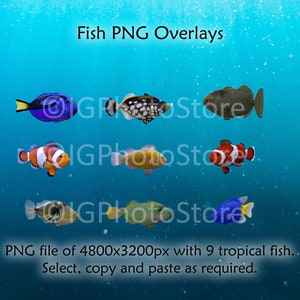 Mermaid Digital Backdrop & Overlay Bundle, Undersea Background ...