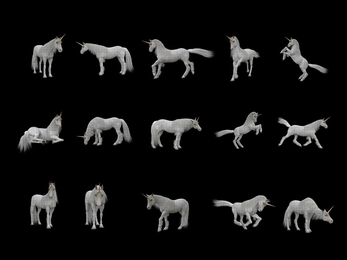 15 Digital Unicorn Overlays PNG Unicorns Photoshop Overlays - Etsy UK