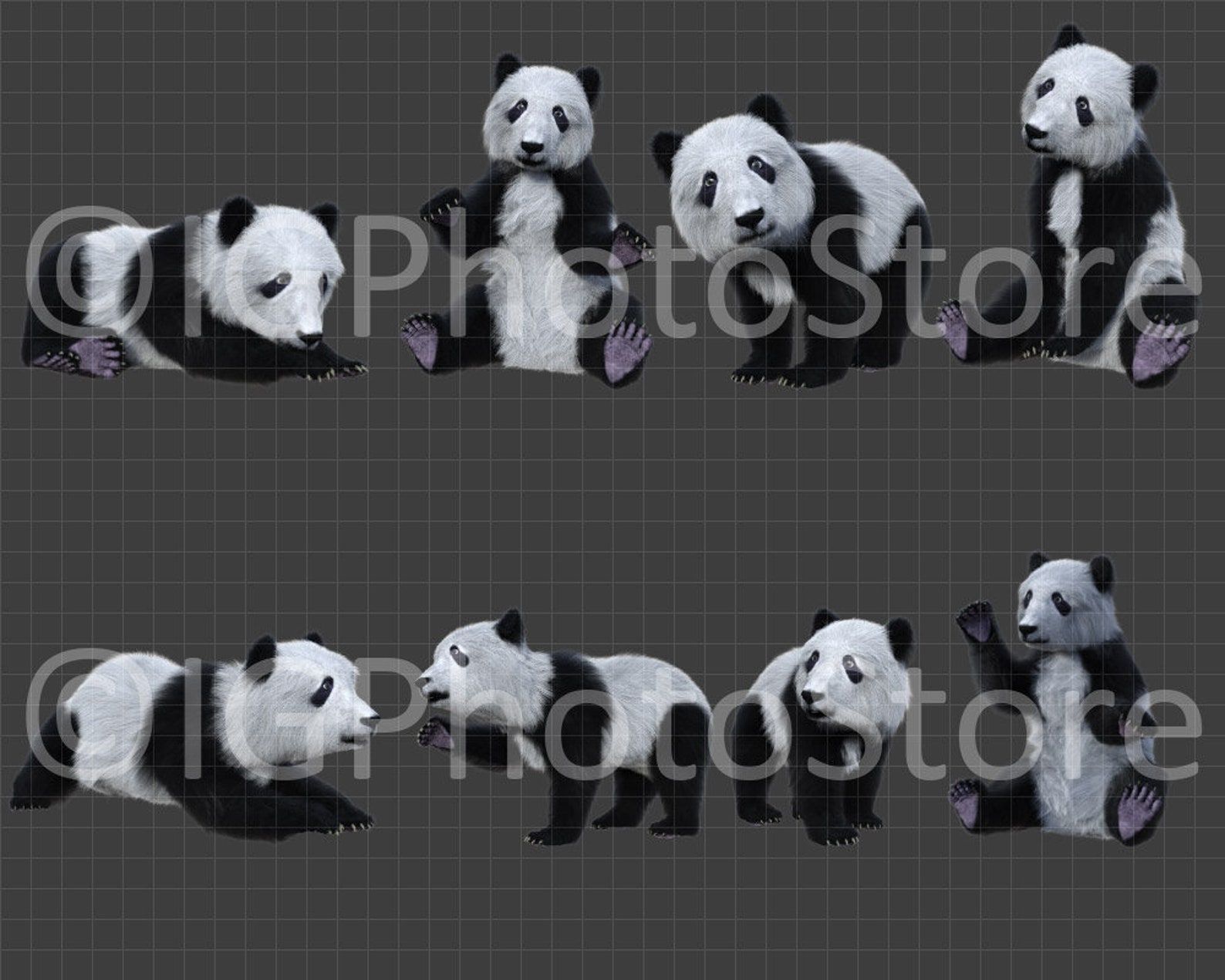 Panda Digital Overlays Transparent PNG Pandas Animal - Etsy