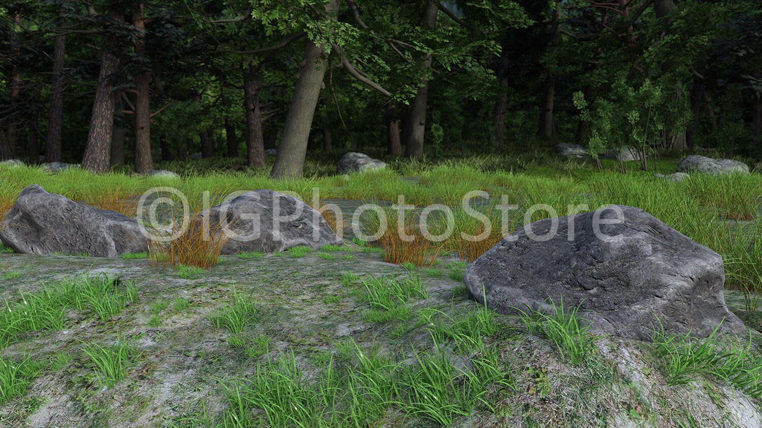 Fantasy Digital Backdrop Kit Fantasy Cosplay Background - Etsy