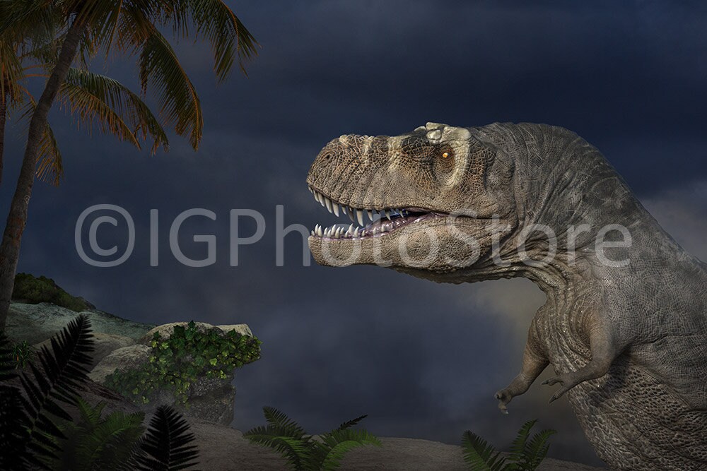 T-rex Digital Backdrop, Dinosaur Digital Background, Photoshop Backdrop ...