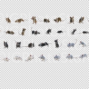 36 Mouse Digital Overlays, Transparent PNG Mice, Mouse Clip Art, Cute ...