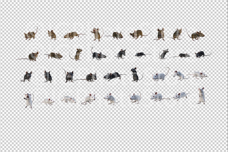 36 Mouse Digital Overlays Transparent PNG Mice Mouse Clip - Etsy