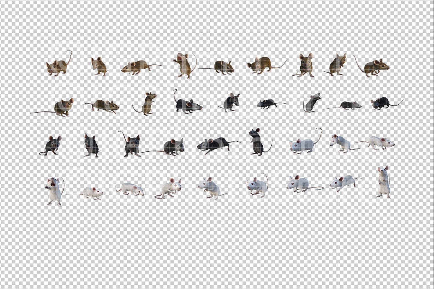 36 Mouse Digital Overlays, Transparent PNG Mice, Mouse Clip Art, Cute ...