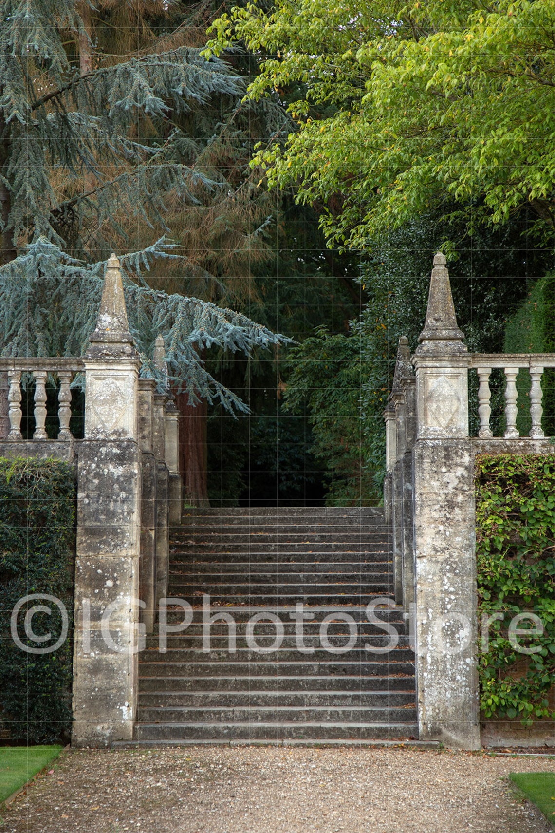 Wedding Digital Backdrops Wedding Backgrounds Portrait - Etsy