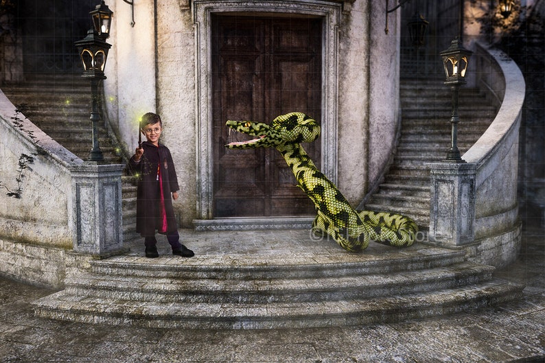 Giant Snake Digital Backdrop, Wizard Cosplay Backdrop, Snake Digital ...