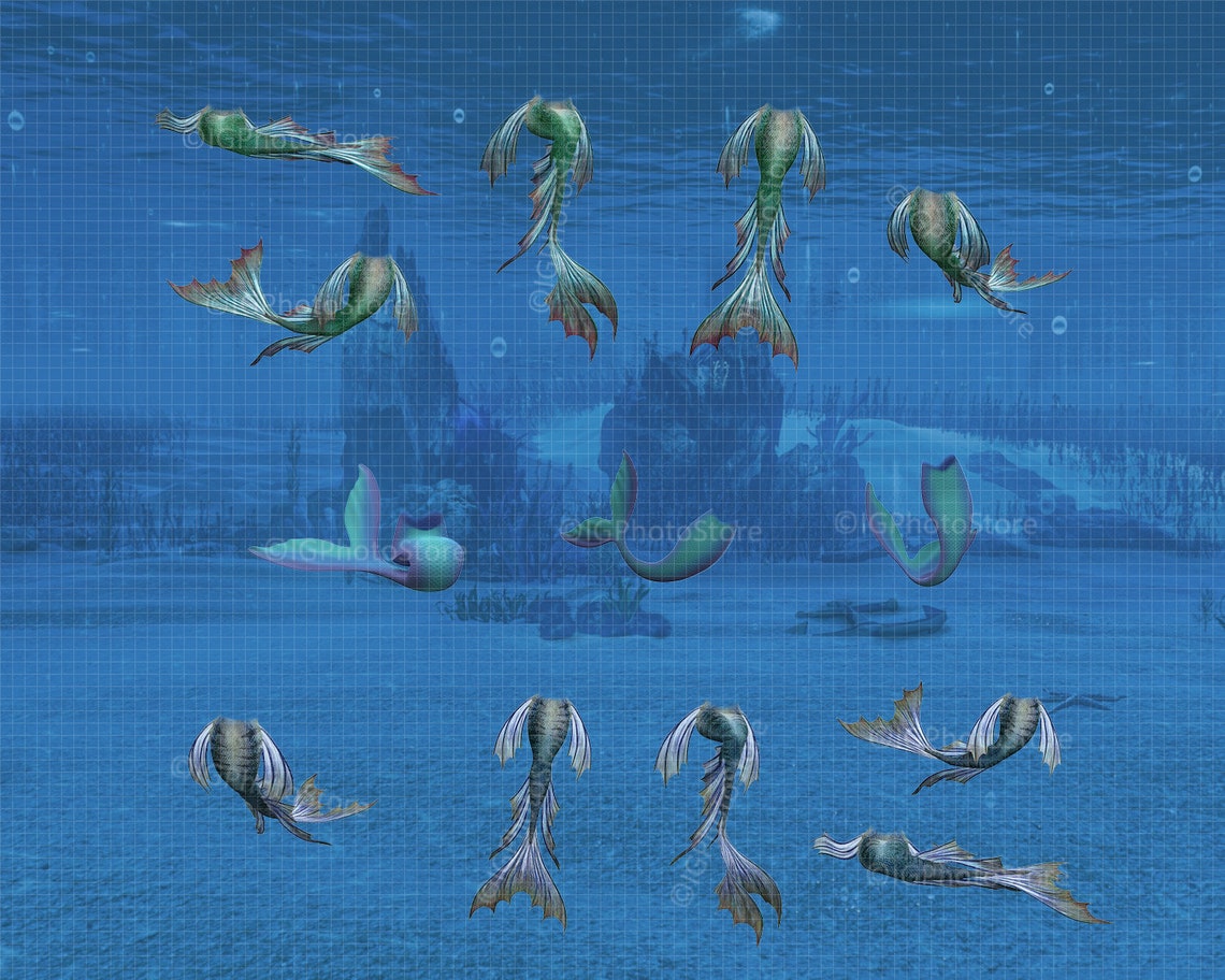 32 Mermaid Tail Overlays, Transparent PNG Mermaid Tails, Photoshop ...