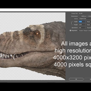 T-rex Digital Overlays, 15 Tyrannosaurus Rex PNG Overlays, Transparent ...