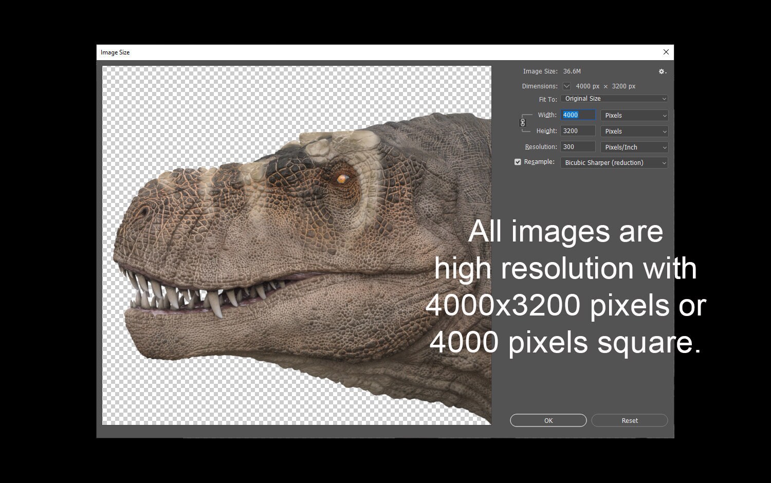 T-rex Digital Overlays 15 Tyrannosaurus Rex PNG Overlays | Etsy UK