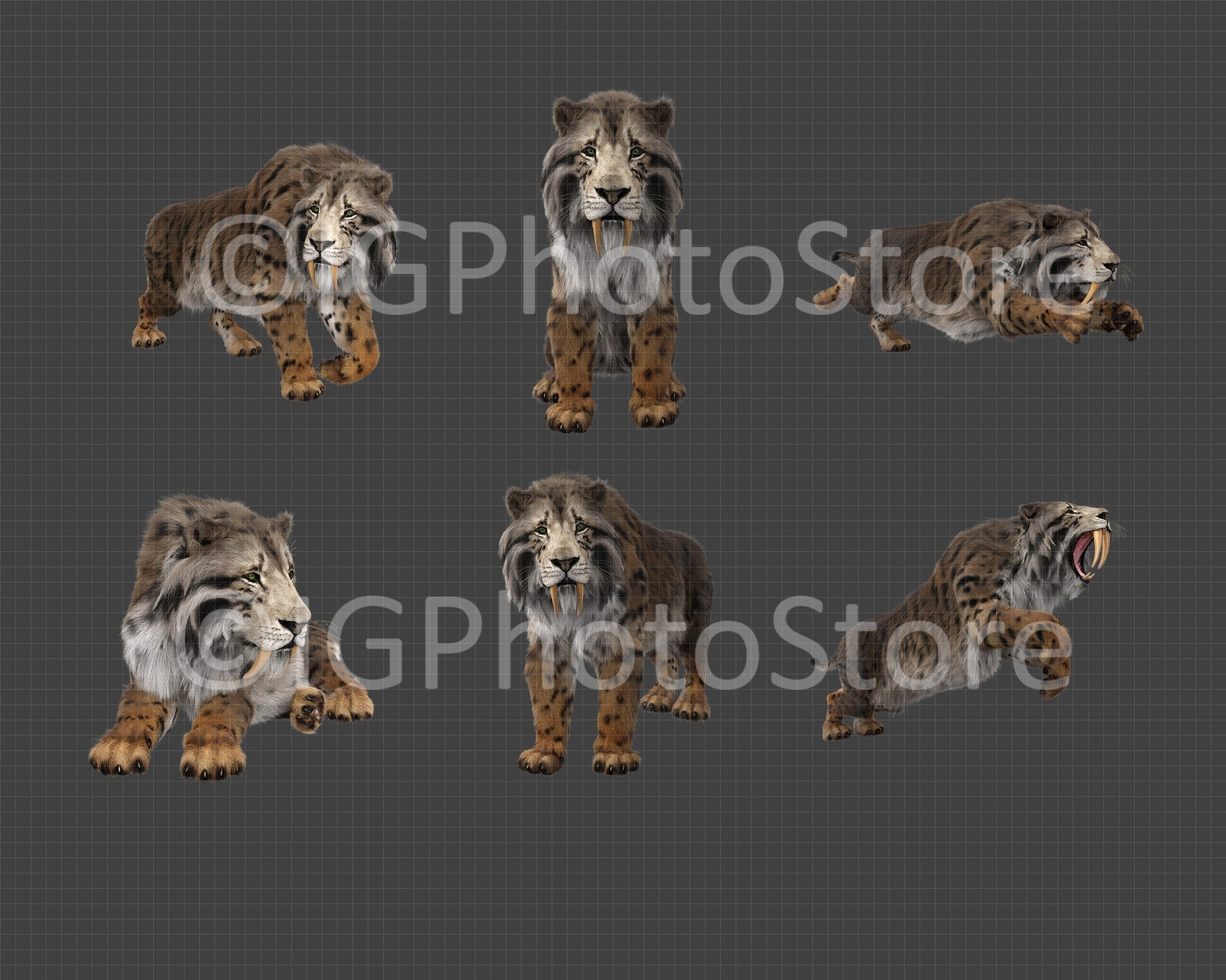 Sabre Tooth Tiger Digital Overlays Sabre-toothed Tigers - Etsy