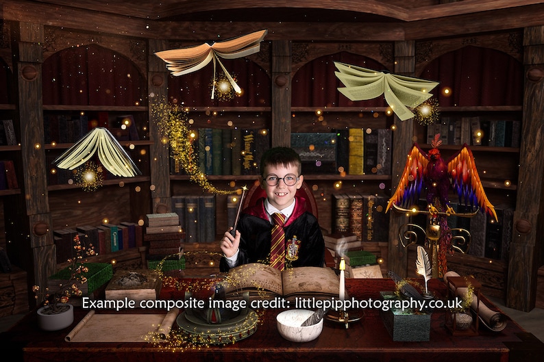 Wizard Office Digital Backdrop Wizard Desk With Phoenix and - Etsy UK