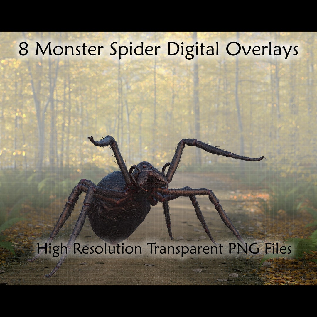 Fantasy Monster Spider Digital Overlays, Transparent PNG Giant Spiders ...