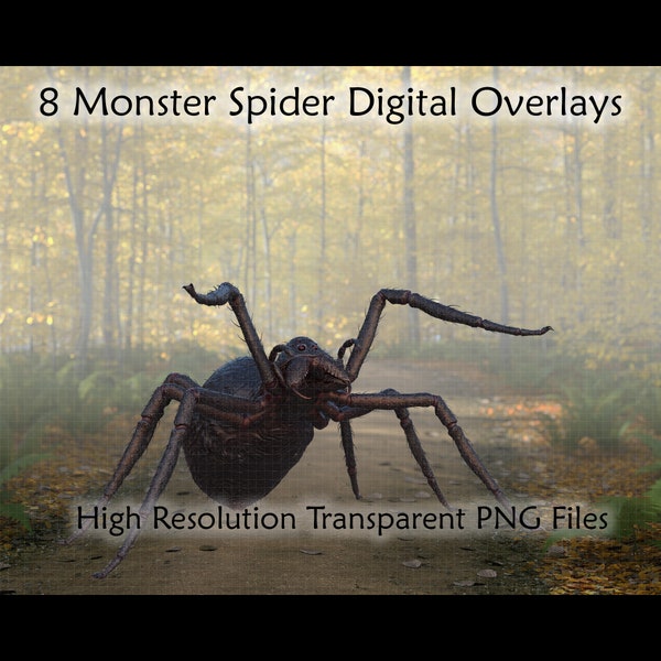 Spider Fantasy Art - Etsy