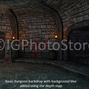 Dungeon Digital Backdrop Set, Digital Backgrounds, Cosplay Backdrops ...