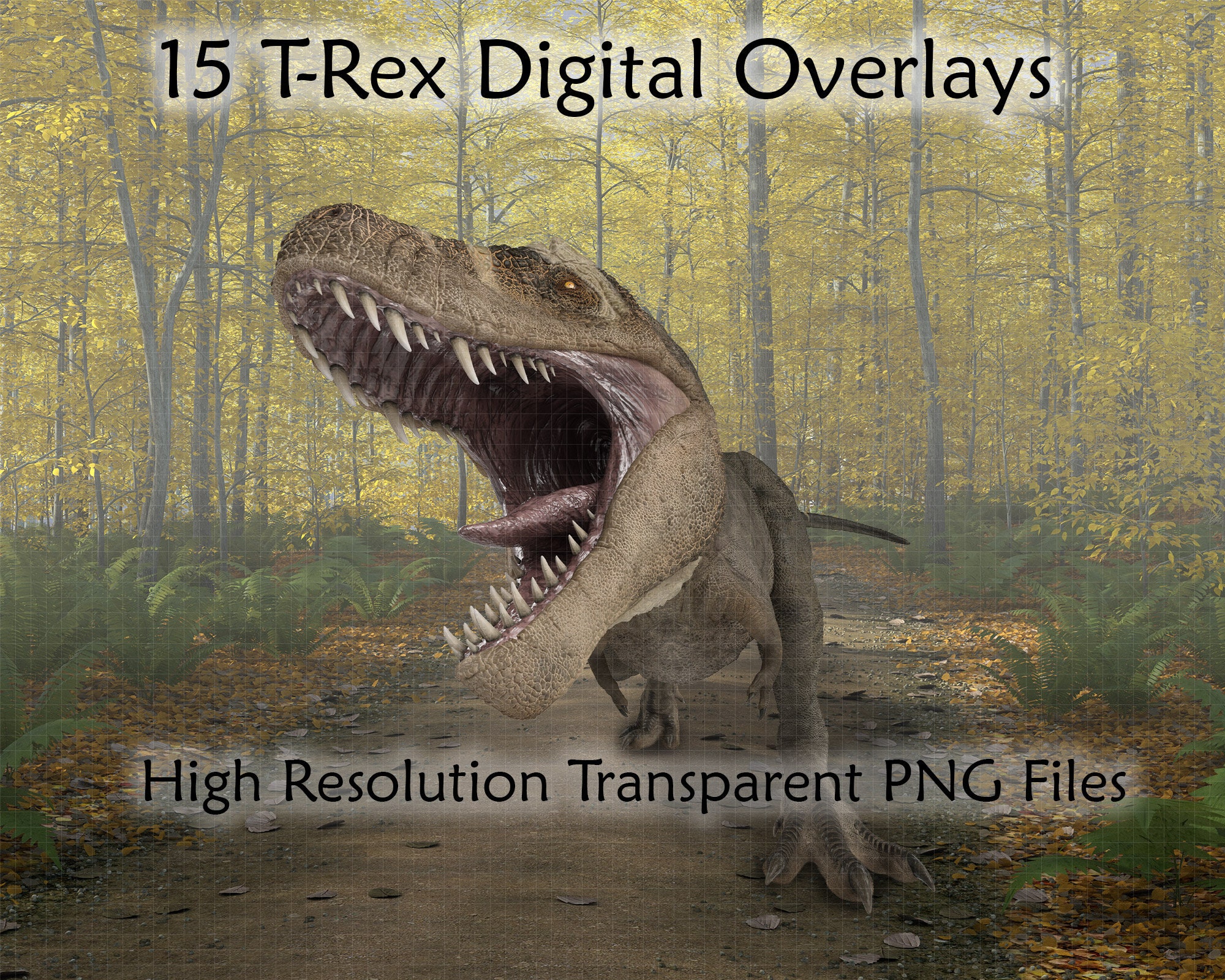 T-rex Digital Overlays 15 Tyrannosaurus Rex PNG Overlays | Etsy UK