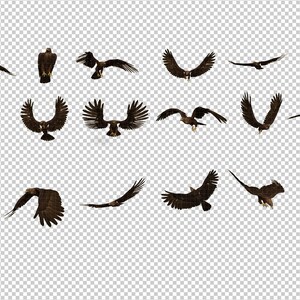 Golden Eagle Digital Overlays, 18 High Resolution Transparent PNG ...