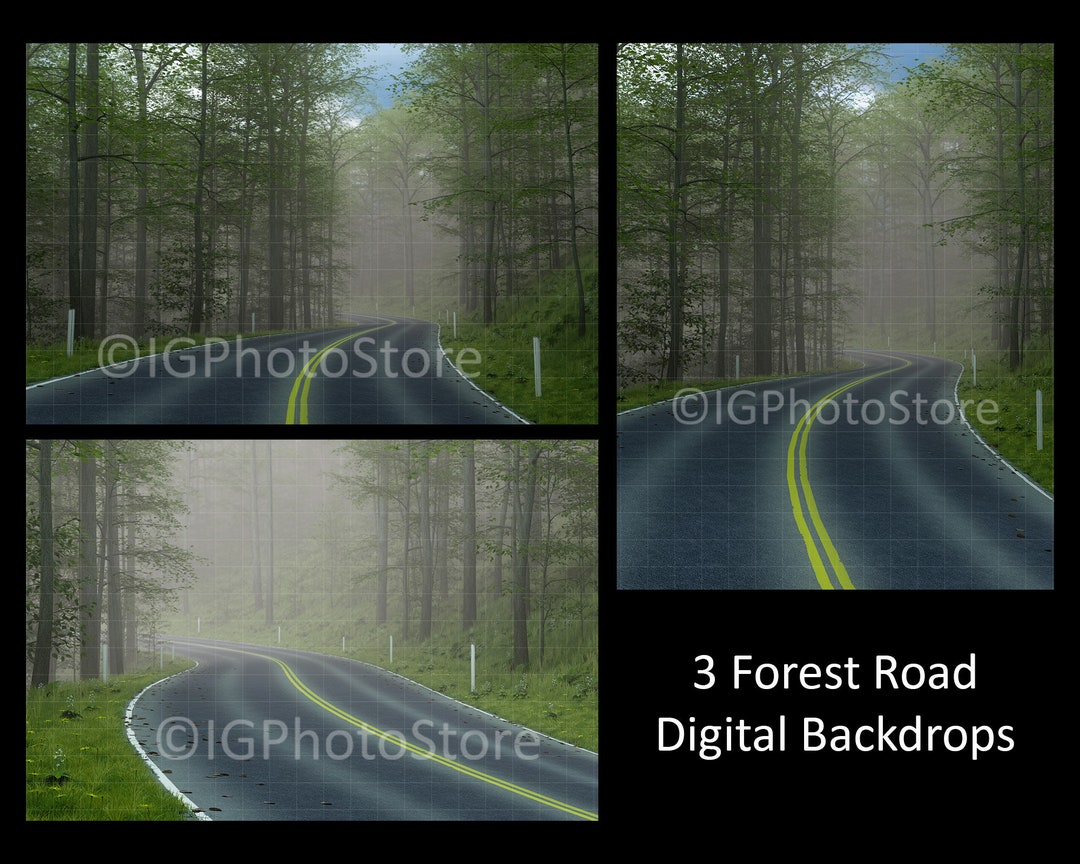 Empty Road Digital Backdrop Misty Road in Forest Digital - Etsy