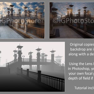 Portrait or Wedding Digital Backdrops, Composite Portrait Backgrounds ...