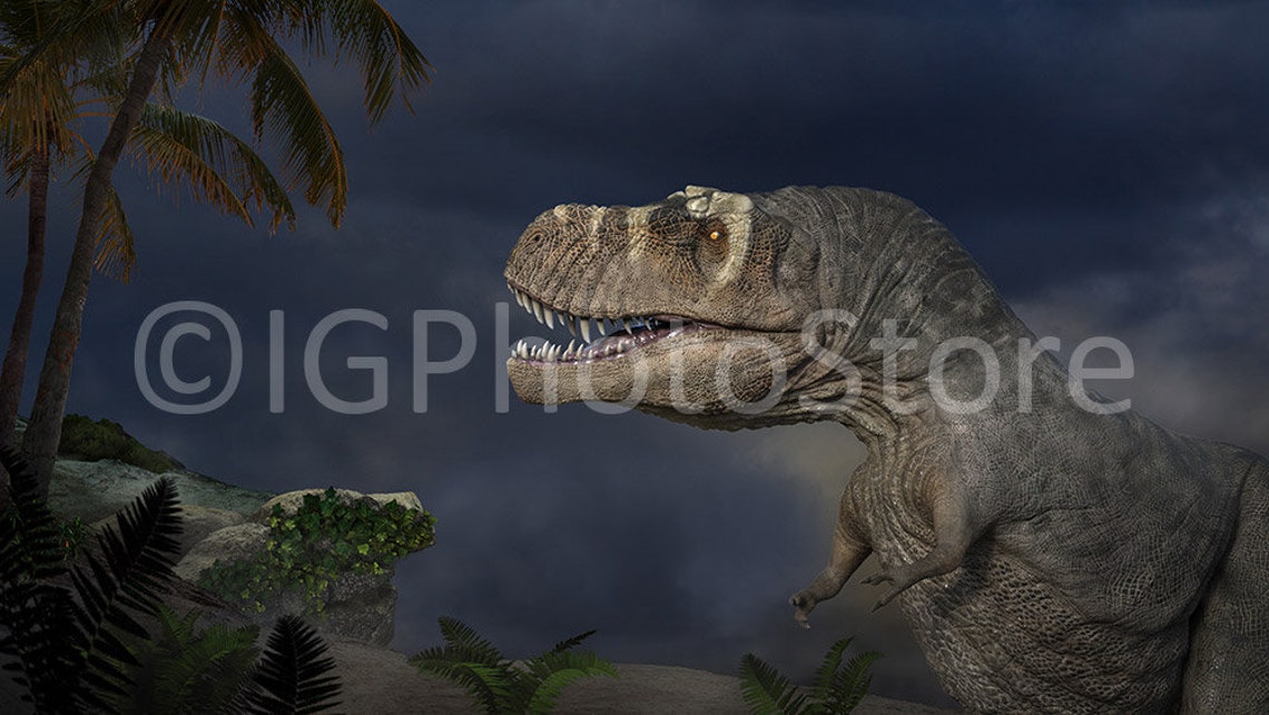 T-rex Digital Backdrop Dinosaur Digital Background Photoshop - Etsy