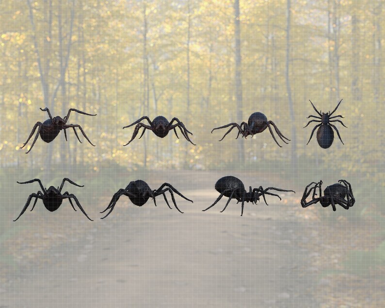 Fantasy Monster Spider Digital Overlays, Transparent PNG Giant Spiders ...