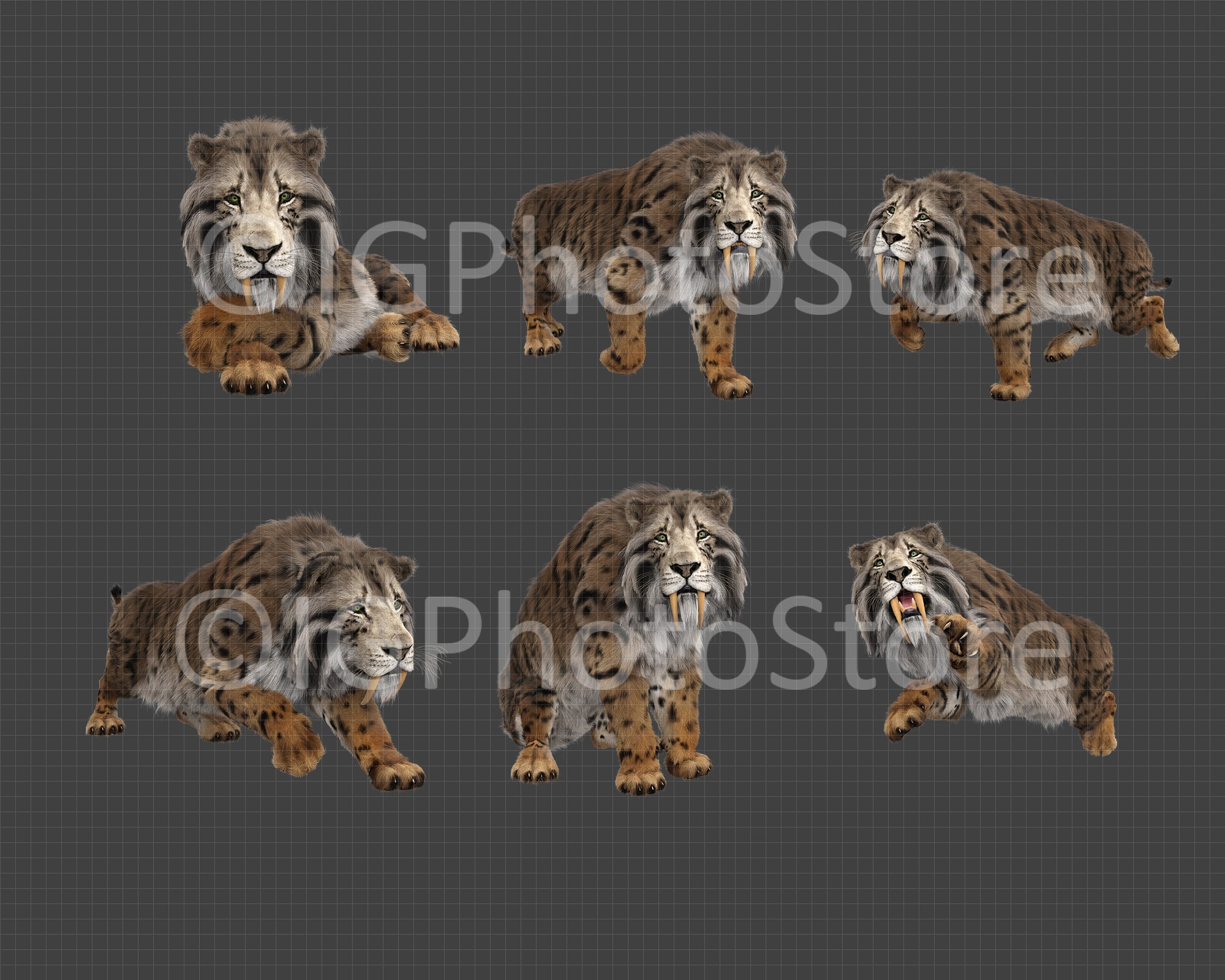Sabre Tooth Tiger Digital Overlays Sabre-toothed Tigers - Etsy