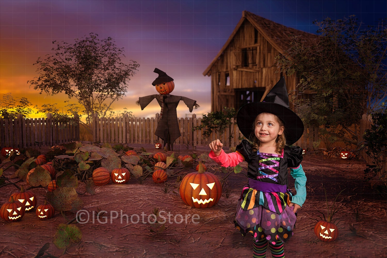 Halloween Digital Background, Halloween Backdrop, Pumpkin Patch ...