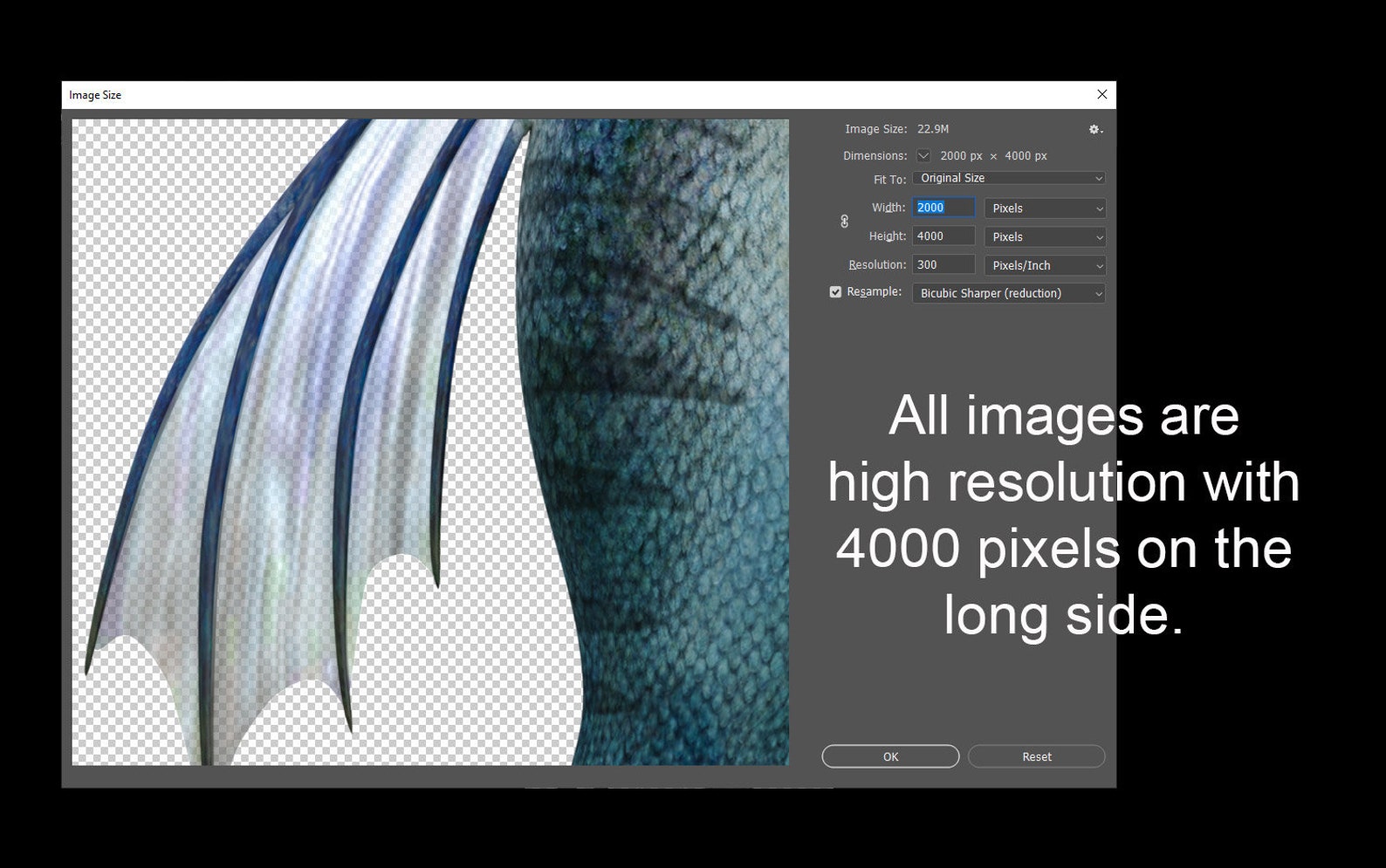 32 Mermaid Tail Overlays, Transparent PNG Mermaid Tails, Photoshop ...