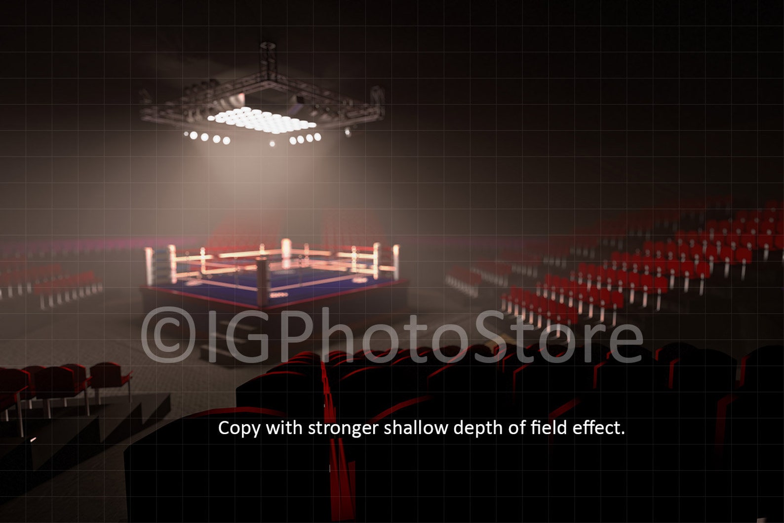 Boxing Arena Digital Backdrop Boxing Ring Digital Backdrop - Etsy Canada