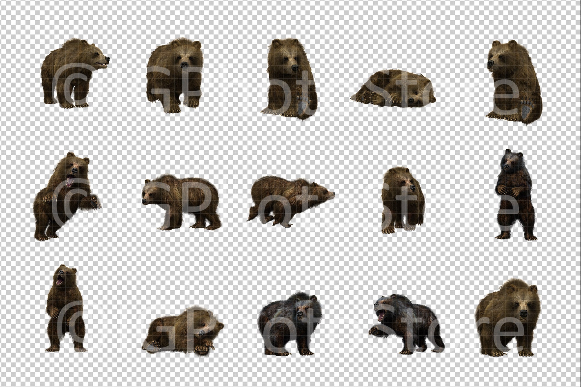 Brown Bear Digital Overlays Transparent PNG Grizzly Bears - Etsy