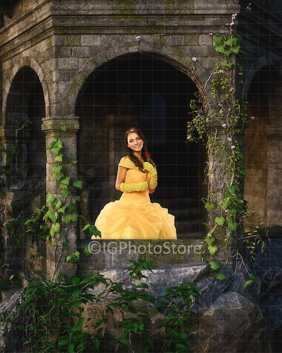 Fantasy Castle Balcony Digital Background Princess Cosplay - Etsy