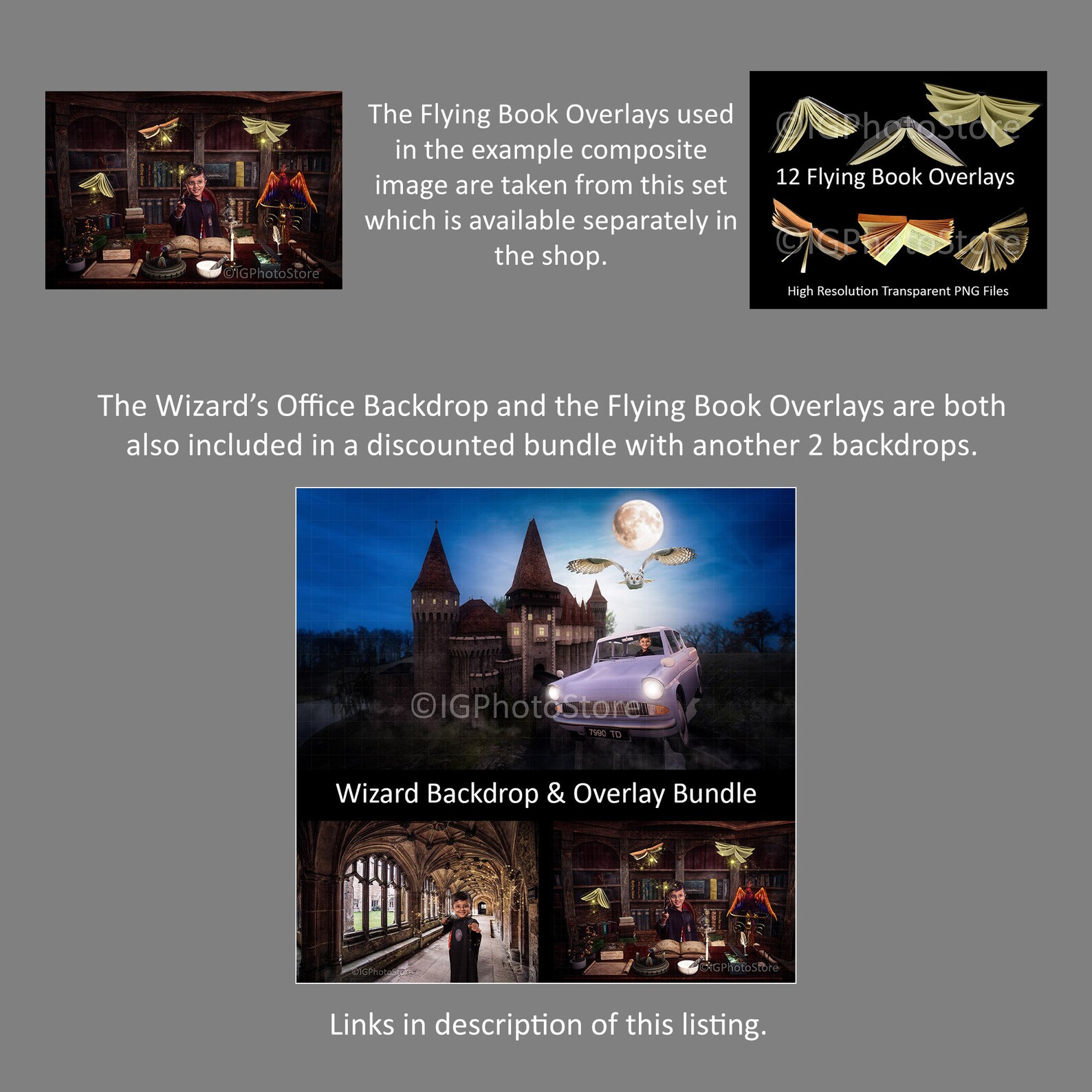 Wizard Office Digital Backdrop, Wizard Desk With Phoenix and Magic ...